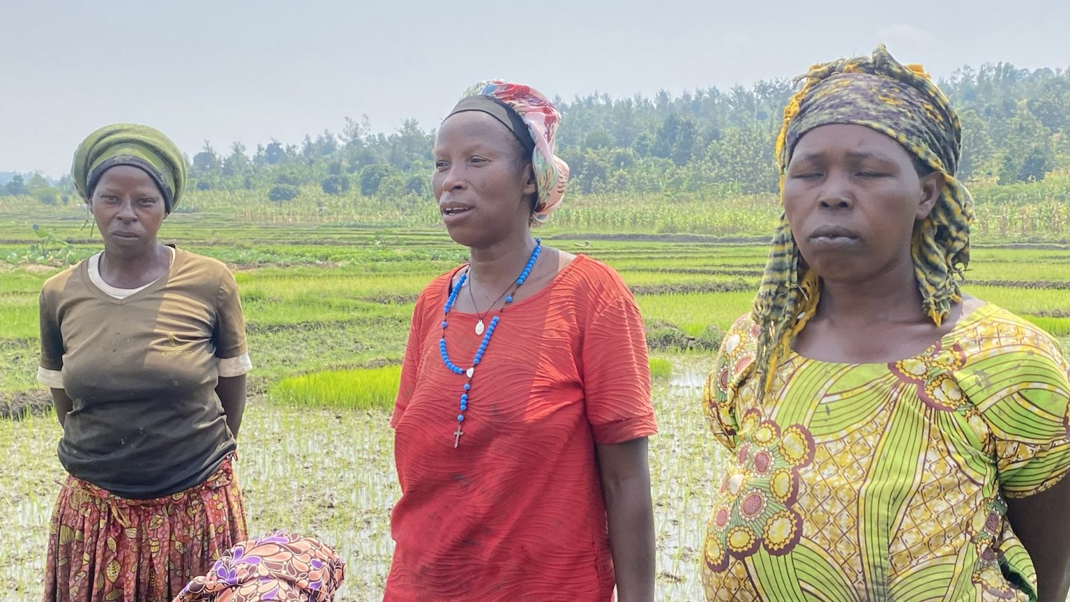 » U Rwanda mu ngamba zo guhashya bilaliziyoze mu 2030 ImvahoNshya
